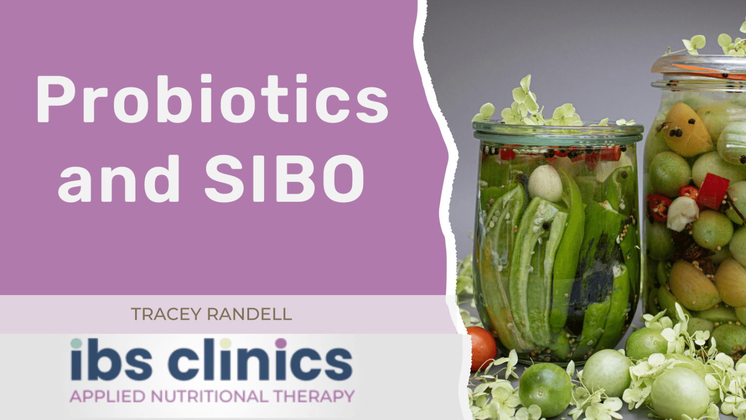 Probiotics and SIBO - IBS Clinics
