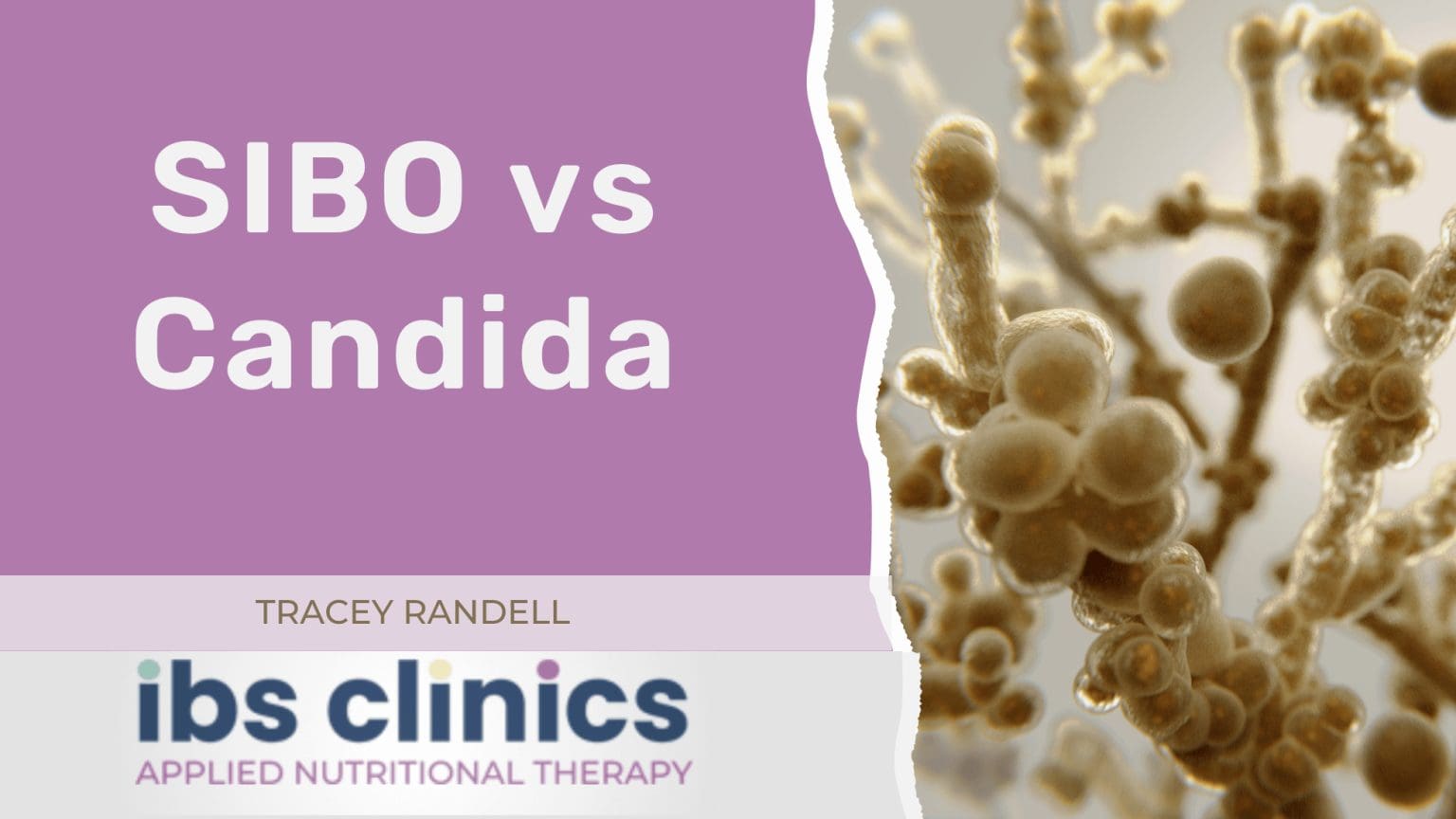 SIBO vs Candida